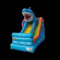 China Custom Color Inflatable Dry Slide 9x4.5x6m Animal Theme Bounce House for Commercial Amusement Park for sale
