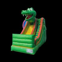 China Custom Color Inflatable Dry Slide 9x4.5x6m Animal Theme Bounce House for Commercial Amusement Park for sale