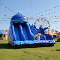 China Ocean Theme Inflatable Water Slide with Optional Pool Combination Custom Layout for Parks and Events for sale