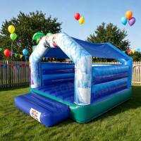China Custom Themed Kids Inflatable Bouncer Jumping Castle for Party Rental 3m x 3m for sale
