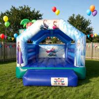 China Custom Themed Kids Inflatable Bouncer Jumping Castle for Party Rental 3m x 3m for sale