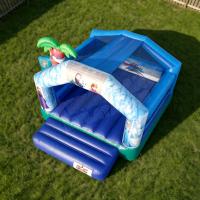 China Custom Themed Kids Inflatable Bouncer Jumping Castle for Party Rental 3m x 3m for sale