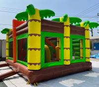 China Commercial Inflatable Dino Bounce House Combo with Slide and Splash Pool for Kids 10x10ft for sale