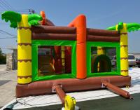 China Commercial Inflatable Dino Bounce House Combo with Slide and Splash Pool for Kids 10x10ft for sale