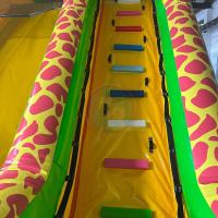 China Custom Giraffe Inflatable Slide 4m High Animal Theme Playground with Climbing Lane Safety Netting for Commercial Rental Events for sale