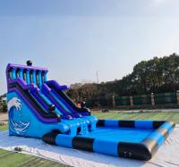 China Commercial Double Lane Inflatable Water Slide with Pool 8m for Outdoor Events for sale