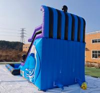 China Commercial Double Lane Inflatable Water Slide with Pool 8m for Outdoor Events for sale