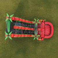 China Custom Tropical Palm Tree Inflatable Water Slide for Commercial Water Parks and Resorts for sale