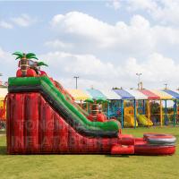 China Custom Tropical Palm Tree Inflatable Water Slide for Commercial Water Parks and Resorts for sale