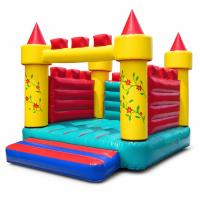 China Commercial Inflatable Castle Bounce House with Slide for Adults 8 Kids PVC 5-10 Capacity for sale