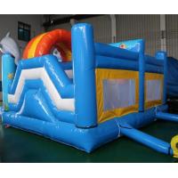 China Commercial Inflatable Dolphin Bounce Castle 5.2x5x3.2m PVC Jumping House for Kids for sale