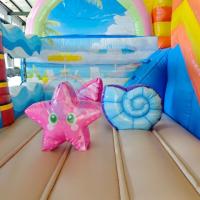 China Commercial Inflatable Beach Bouncer Slide Island Style 3m x 2m x 2.5m Durable PVC Outdoor Water Amusement for sale