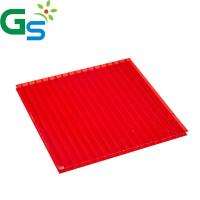 China Polycarbonate Twinwall Hollow Sheet 4mm-20mm Thickness for Carport Skylight Greenhouse for sale