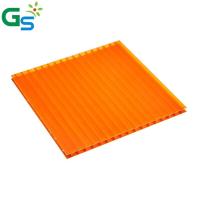 China 4mm 6mm 8mm 10mm Greenhouse Dual Wall Polycarbonate Transparent Hollow Sheet for sale