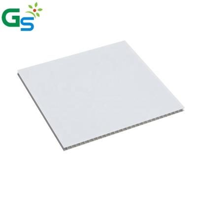 China Factory Price  Opal Color 5mm Twin Wall Hollow Polycarbonate Sheet for Greenhouse Roofing Panel for sale