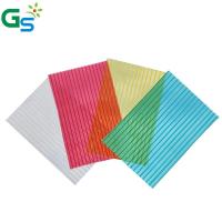 China 8mm Plastic Twin Wall Hollow Sheet Durable and Versatile Roofing Material in Sri Lanka for sale