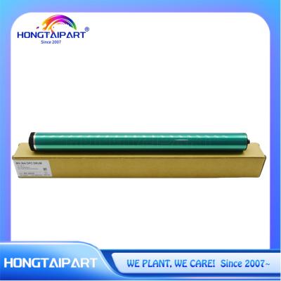 China OPC Drum for Sharp MX-560DR MX-M364 M365 M464 M465 M564 Image Drum Unit 80K for sale