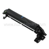 China Drum Unit Ricoh MP C3003 C3503 C4503 C5503 C6003 (D1862258 D1862248 D1862238 D1862208 D1492250 D1862234) for sale