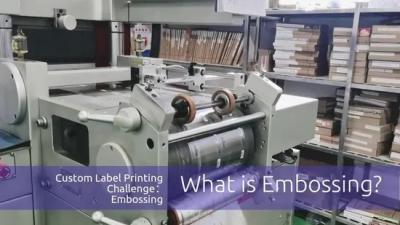 China Custom Label Sticker with 10-12 Color Printing for Food and Beverage Grade Applications for sale