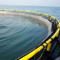 China CE Certified HDPE Aquaculture Fish Farming Equipment Fish Cage 30m to 200m Circumference for sale