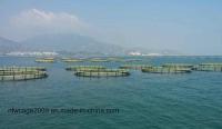 China HDPE Round Floating Cage System for Fish Farming 30m to 200m Circumference Anti-Typhoon for sale