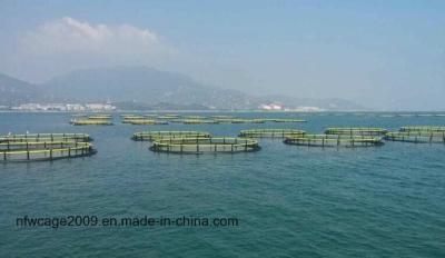China HDPE Round Floating Cage System for Fish Farming 30m to 200m Circumference Anti-Typhoon for sale