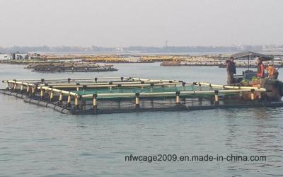 China HDPE Square Aquaculture Fish Farm Cage with 200mm-400mm Floating Pipe Options and 15+ Year Lifespan for sale