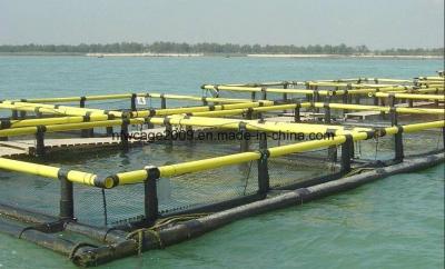 China HDPE Square Aquaculture Fish Cage Floating System - 200mm to 400mm Pipe Diameter, 15+ Year Lifespan for sale