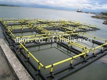 China HDPE Floating Net Cage for Sea Bass & Sea Bream Aquaculture - Temperature Range -60°C to +80°C, 50-Year Service Life for sale
