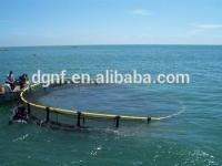 China HDPE Floating Net Cage for Sea Bass & Sea Bream Aquaculture - Temperature Range -60°C to +80°C, 50-Year Service Life for sale