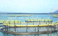 China HDPE Circular Floating Fish Cage 6m-90m Diameter for Marine Aquaculture - Temperature Range -60°C to +80°C for sale