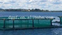 China HDPE Sea Fish Farming Net Cage 30-150m Circumference with 200-500mm Pipe Diameter for Offshore Aquaculture for sale