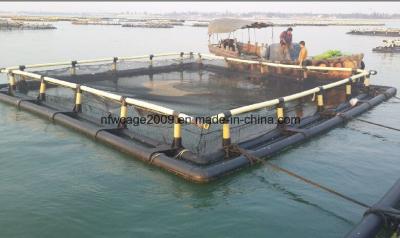 China HDPE Deep Water Aquaculture Cage for Tilapia Farming - 4-200sq. M Sizes with 50-Year UV Resistance for sale