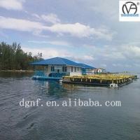 China HDPE Floating Fish Cages 5x5m to 20x20m with 200-400mm Pipe Diameter for Offshore Tilapia Farming for sale