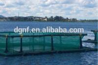 China HDPE Floating Fish Cages 5x5m to 20x20m with 200-400mm Pipe Diameter for Offshore Tilapia Farming for sale