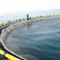 China HDPE Semi-Open Waters Aquaculture Fish Cages 5x5m to 20x20m with 15+ Year Lifespan and Grade 12 Typhoon Resistance for sale