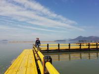 China Circular & Square Aquaculture Fish Cage for Floating Farming - 5-20 Meter Diameter Custom Sizes for sale