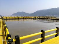 China Circular & Square Aquaculture Fish Cage for Floating Farming - 5-20 Meter Diameter Custom Sizes for sale