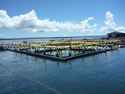 China HDPE Floating Fish Cage 4x4m Square - 15+ Year Lifespan, ISO9001 Certified for Lake & River Aquaculture for sale