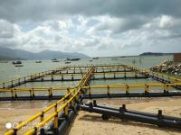 China 6x6m Square HDPE Fish Cage for Floating Fish Farming - 15+ Year Lifespan, 12-Grade Typhoon Resistance for sale