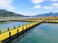 China Square HDPE Aquaculture Net Cage System - 15+ Year Frame Life, 7m Wave Resistance for Fish Farming for sale