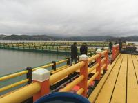 China HDPE Square Leisure Aquaculture Fish Cage with 400mm Floating Pipe - 15+ Year Lifespan, Typhoon Resistant for sale