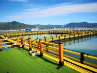 China HDPE Square Leisure Aquaculture Fish Cage with 400mm Floating Pipe - 15+ Year Lifespan, Typhoon Resistant for sale
