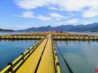 China HDPE Square Leisure Aquaculture Fish Cage with 400mm Floating Pipe - 15+ Year Lifespan, Typhoon Resistant for sale