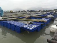China Marine-Grade Floating Fish Cage System with 15+ Year Lifespan and 12-Grade Typhoon Resistance for sale