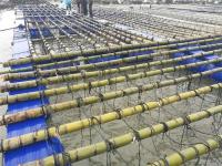China Plastic Pontoon Fish Farming Cage with Hydraulic Winch - 6m to 50m Depth & 15+ Year Lifespan for sale