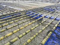 China Marine-Grade Fish Farming Cage System - 15+ Year Durability, 12-Grade Typhoon Resistance, -6m to -50m Depth Range for sale