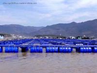 China HDPE Square Pontoon Floating Fish Cage 10m-60m Diameter for Aquaculture Farming with 15+ Year Lifespan for sale