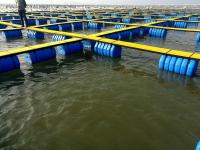 China HDPE Square Pontoon Floating Fish Cage 10m-60m Diameter for Aquaculture Farming with 15+ Year Lifespan for sale