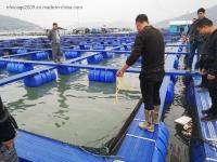 China HDPE Square Pontoon Floating Fish Cage 10m-60m Diameter for Aquaculture Farming with 15+ Year Lifespan for sale